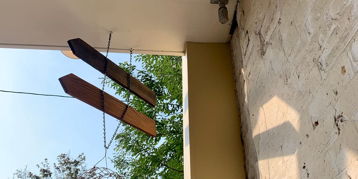 Maybe the Growing is the Point - by Cleo Rohn - Early Riser