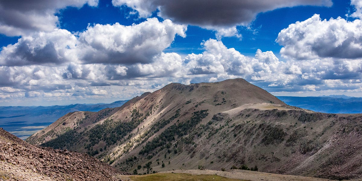 American Wilderness Profiles: Nevada’s Alta Toquima