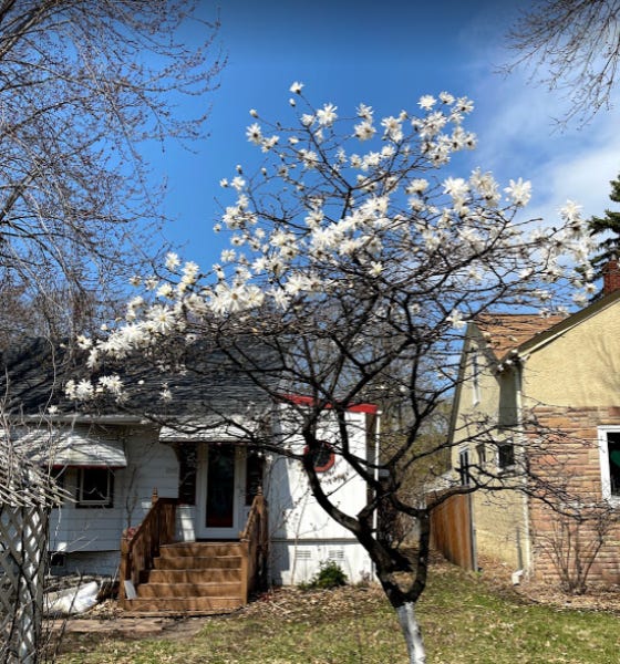 letter #13: Parable of the long spoons