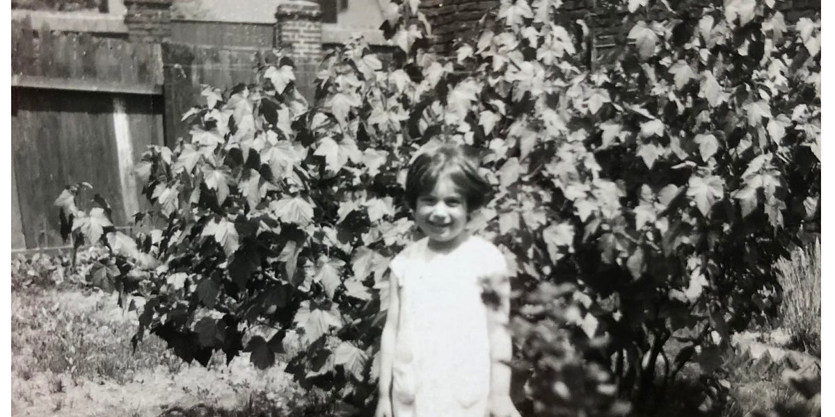 Deborah J. Stein: Letters From Ruthie - by Deborah J. Stein