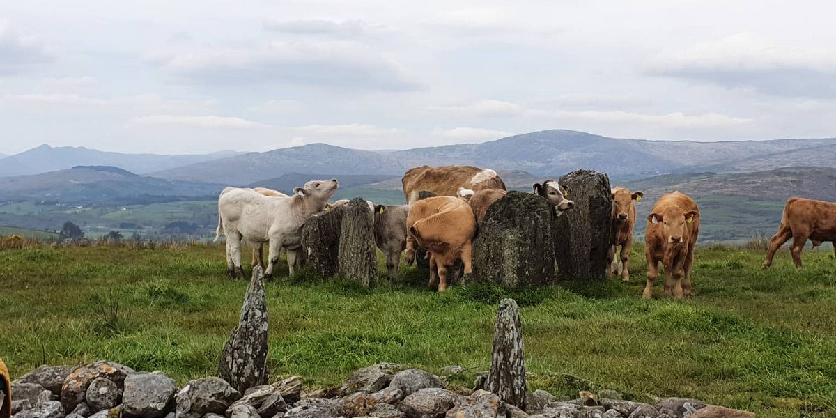 Home - by Ellowen - INHABIT