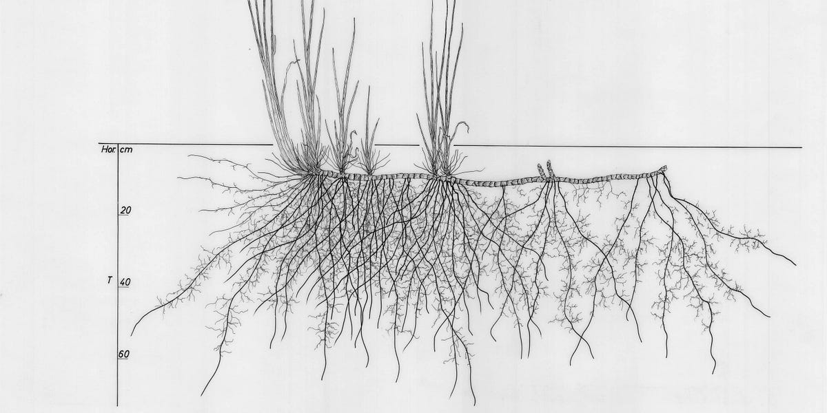 Redecentralization - by Gordon Brander - Squishy Computer