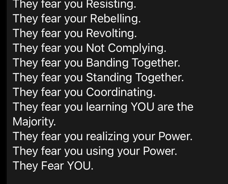 They Fear YOU. - The Starfire Codes by Demi Pietchell