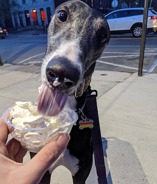 Dog-Gone-It! It's The Return Of Captain BuzzKill and the ESG Angels