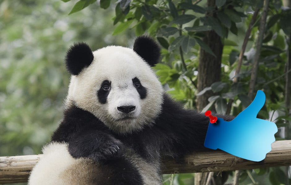 The Panda's Thumb - Creation Reformation Insider