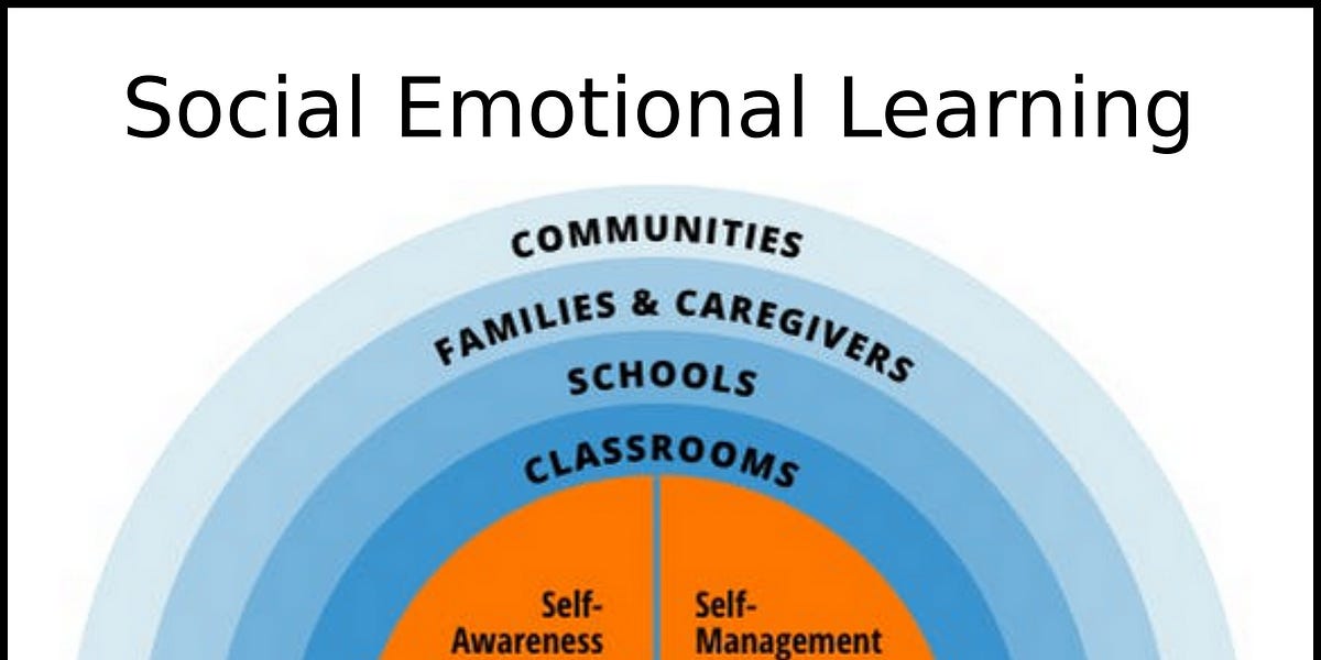 Part 1: What is the Problem with Social Emotional Learning?