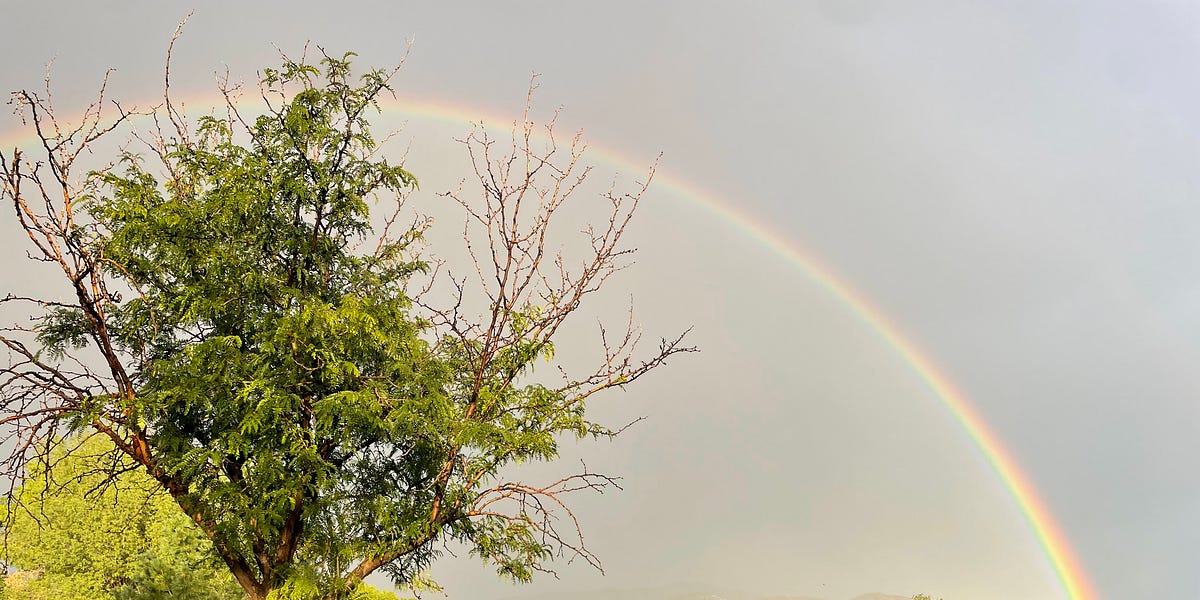 Welcome October - by Georgina Fourzan