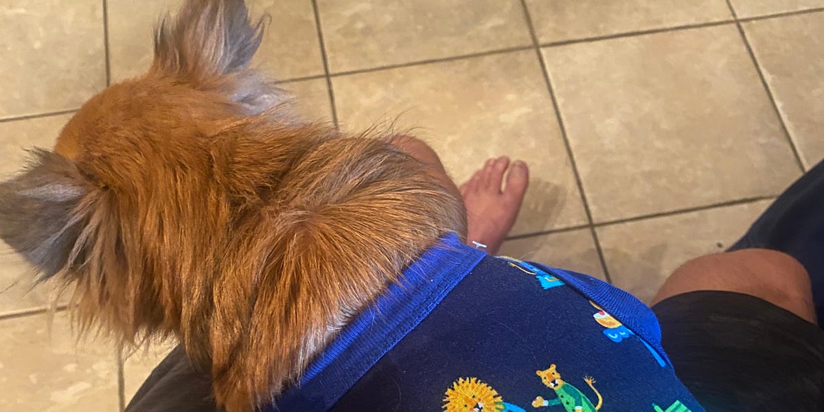 Remembering How to Do It - by Drew Garabo