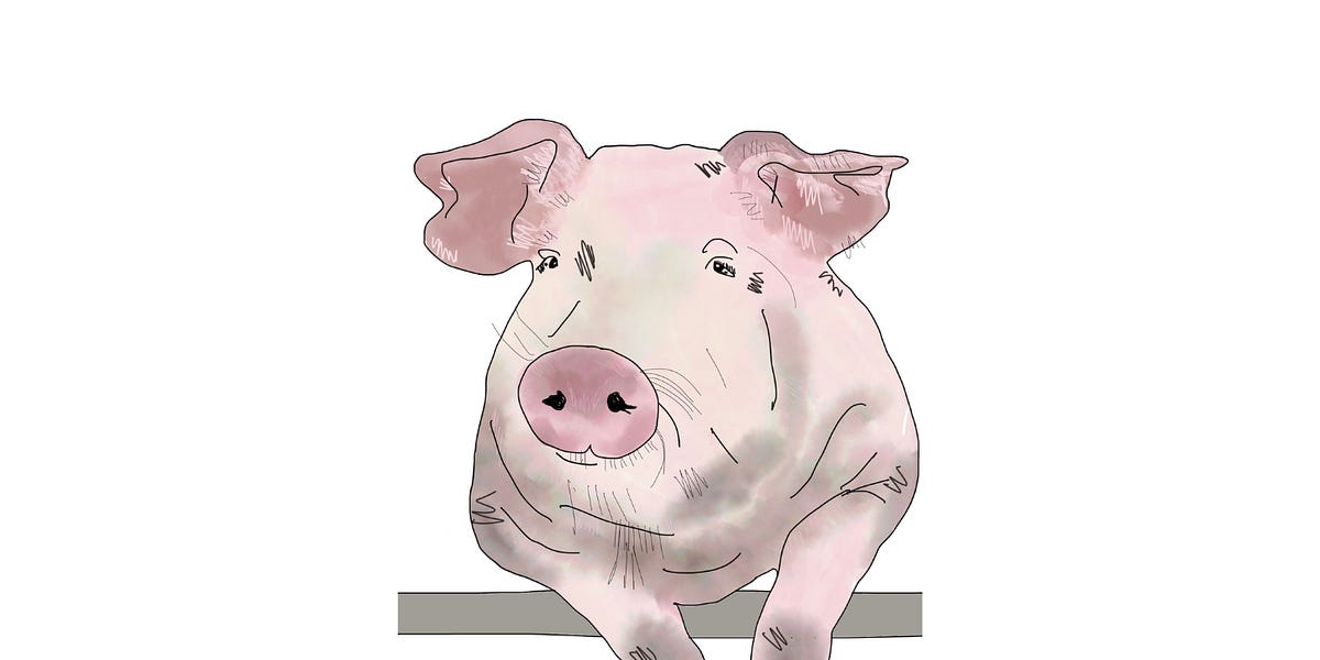 Be the Boar - Feminist Food Journal