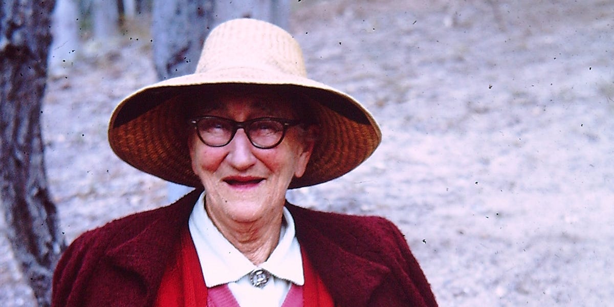 Don't kill him Bill don't kill him - by Patrick Durack