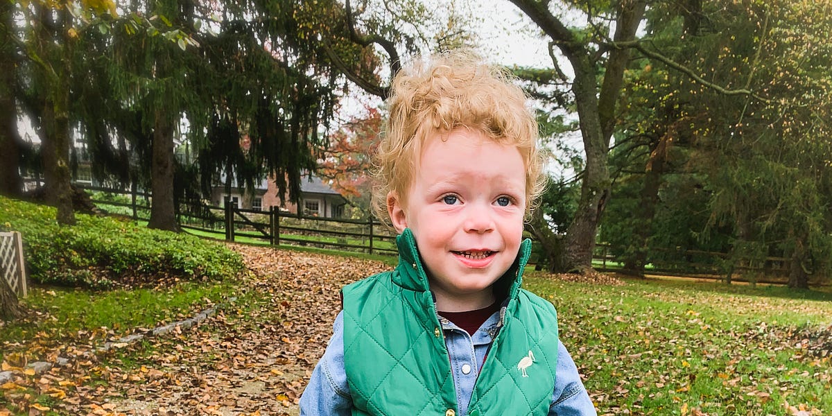 The dill grew when I stopped looking - by Evan - Tiny Seeds