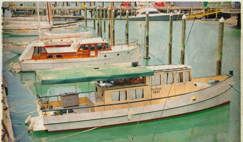 NZ visual diary - entry 22 - by Rich Greissman