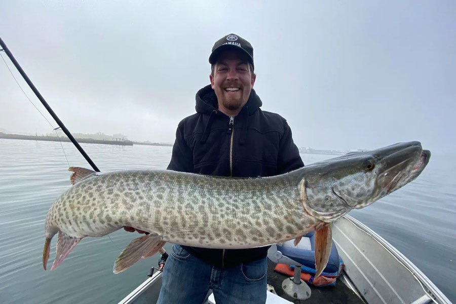 A Real Life Sea Monster in Toronto - by Adam Bunch