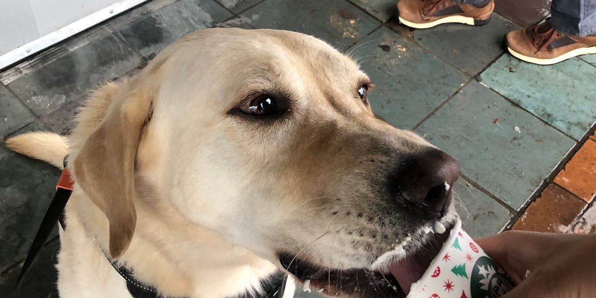 Happy New Year! - by David Ward - Adjusting the Dial