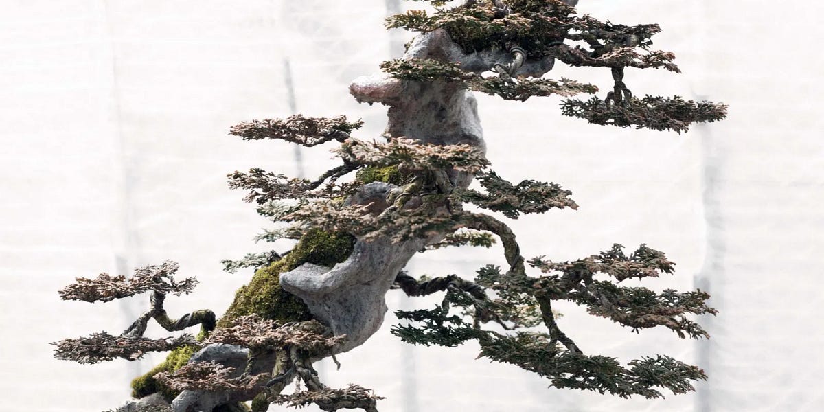 The Inaugural Classical Mind Newsletter