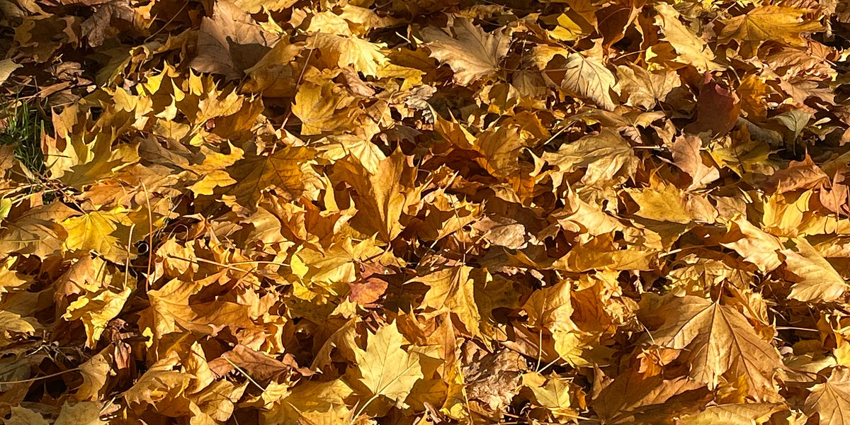 When did The Church ban astrology? - by Randon Rosenbohm