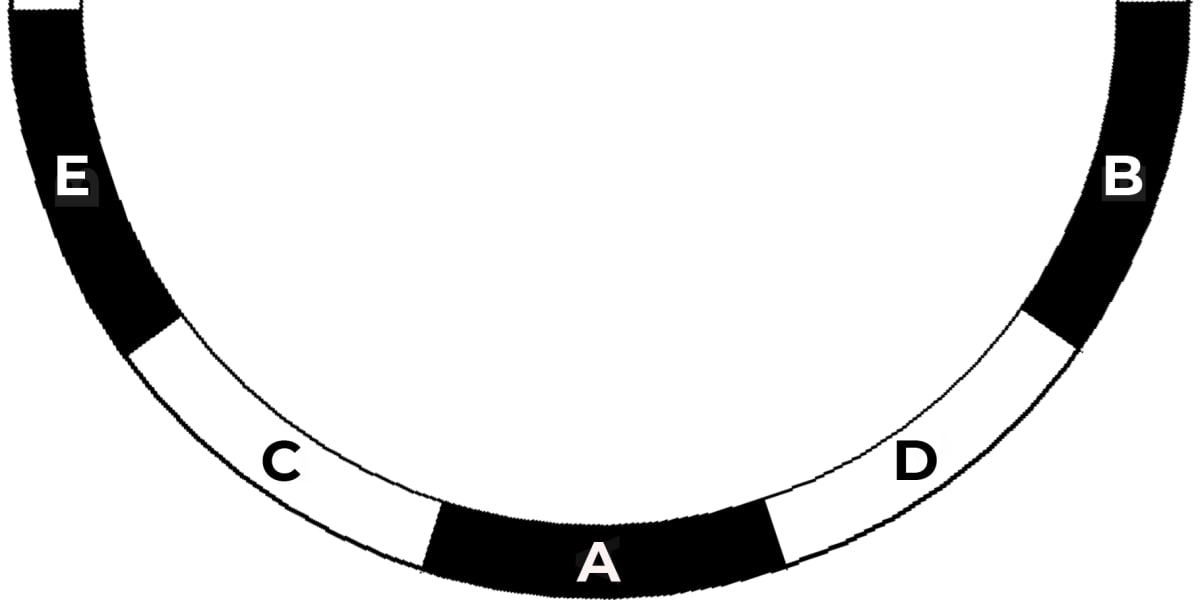 Introduction to the Venus Synodic Cycle