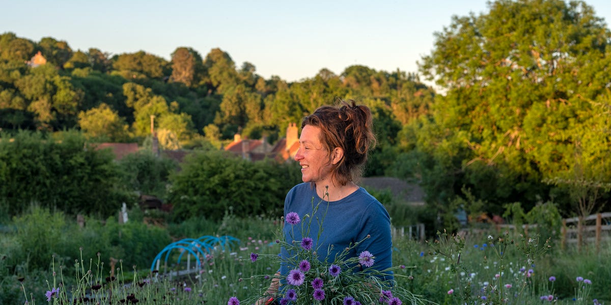 Picked at Dawn - by Suzie Rush - Picked at Dawn