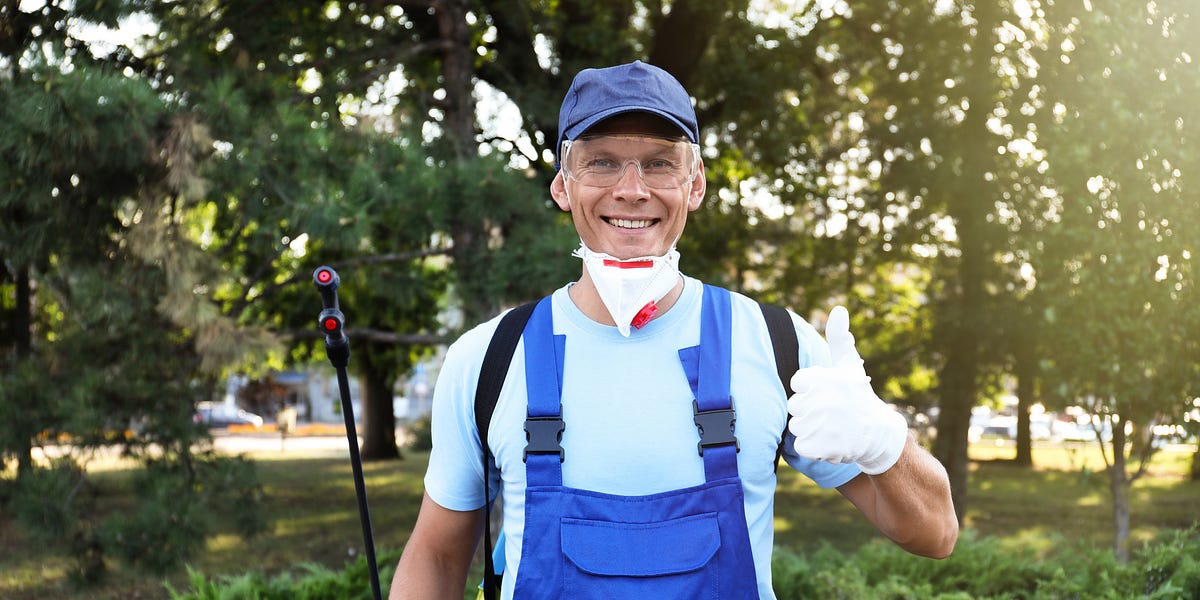 Bug Extinction - by Jeff Schwab - Deeply Nested