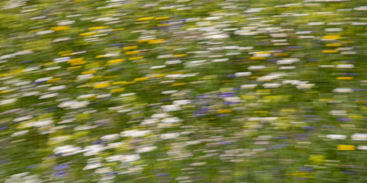 Real Life Does Not Fit The Narrative - by Amanda Fortini