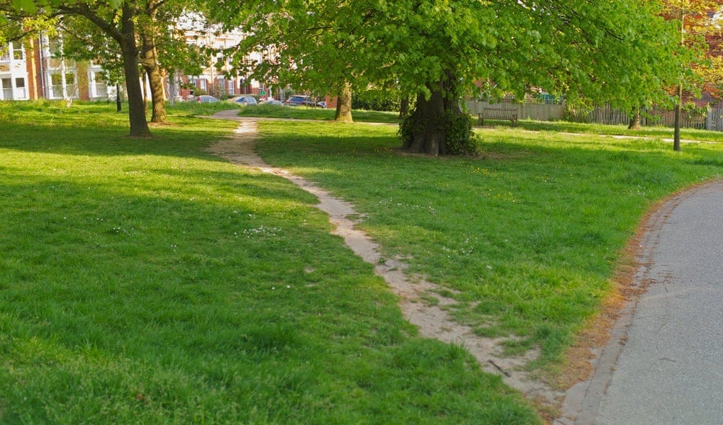 Desire paths shaping work’s evolution - by Bruce Daisley