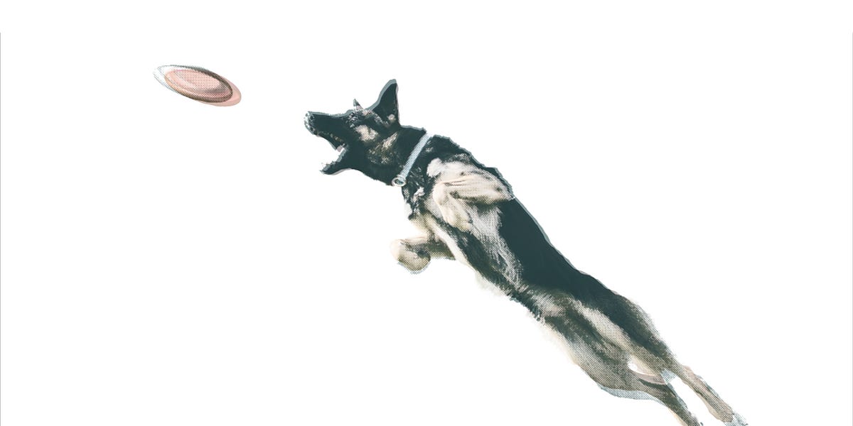 Quick tin update - by Dominic Frisby - The Flying Frisby