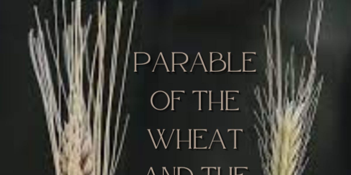 Parable of the Wheat and the Tares - by Brian