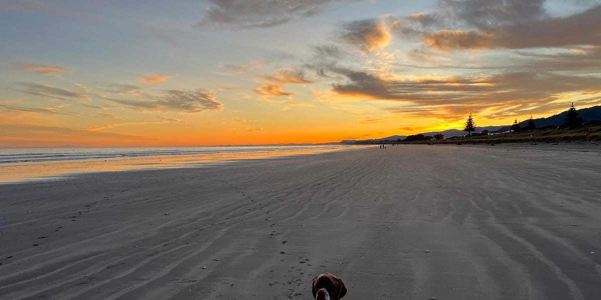 Connection, on purpose - by Bevan Holloway