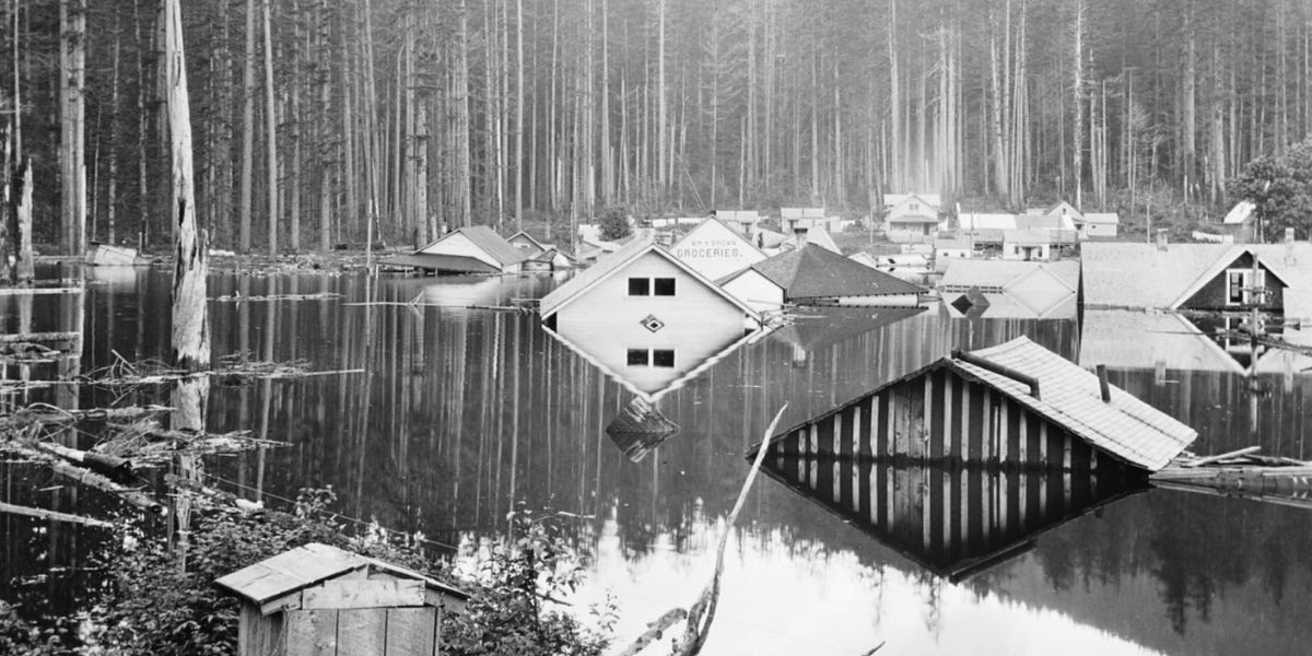 Ruggedize Your Life. - by Alex Steffen - The Snap Forward