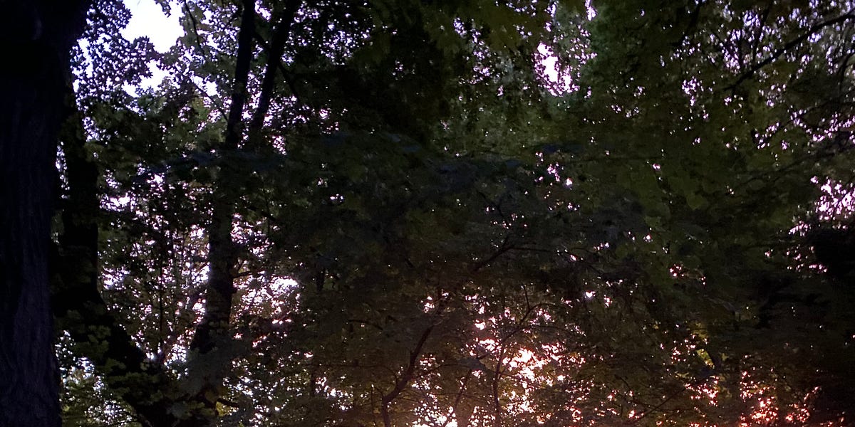 Grateful Heart - Laurie Riedman More Than Words