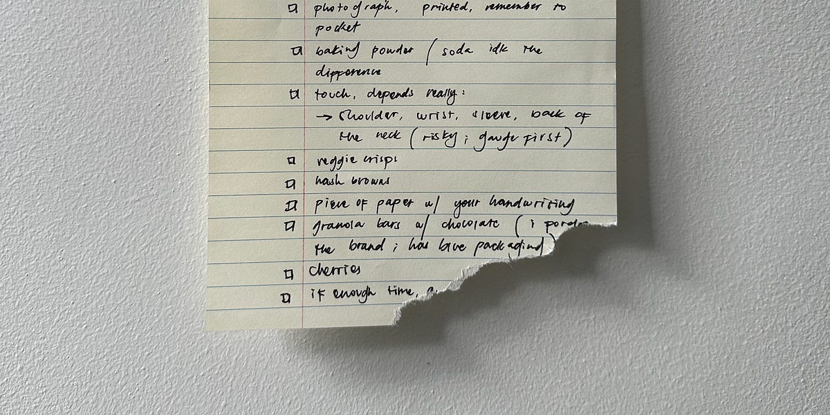 shoplifter's grocery list - by althea - The Backlog