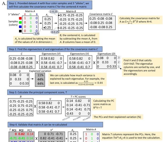 Why Principal Component Analysis Ain't All That