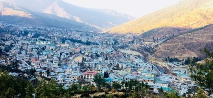 The livelihood kinds of the pandemic - Sherab Dorji