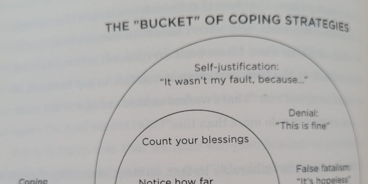 Review: Julia Galef's The Scout Mindset - Freddie deBoer