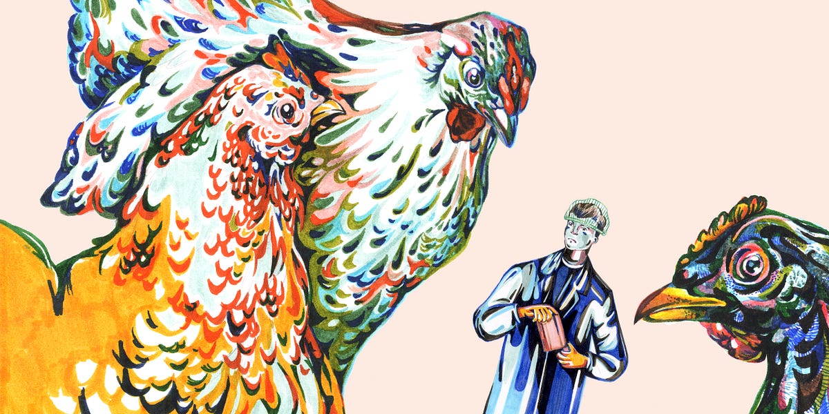 Mechanical Reproduction in the Age of Gregg Wallace