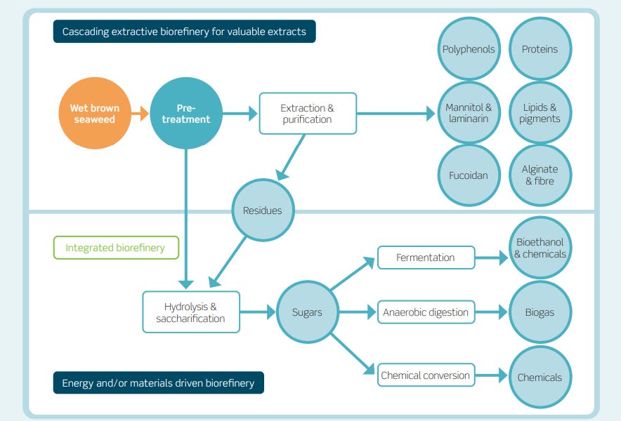 New Approaches to the Seaweed Processing Conundrum