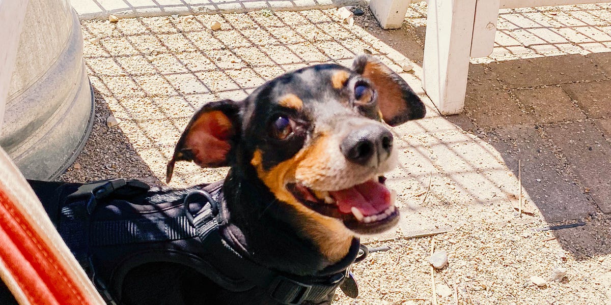 Fancam Hours - by kelsey farrell - kelsey's corner