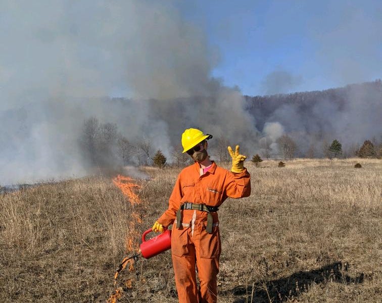 On the move - by Emily Mills - Grist From the Mills