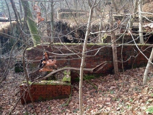 The Ruins Project: A Beginning - by Rachel Sager