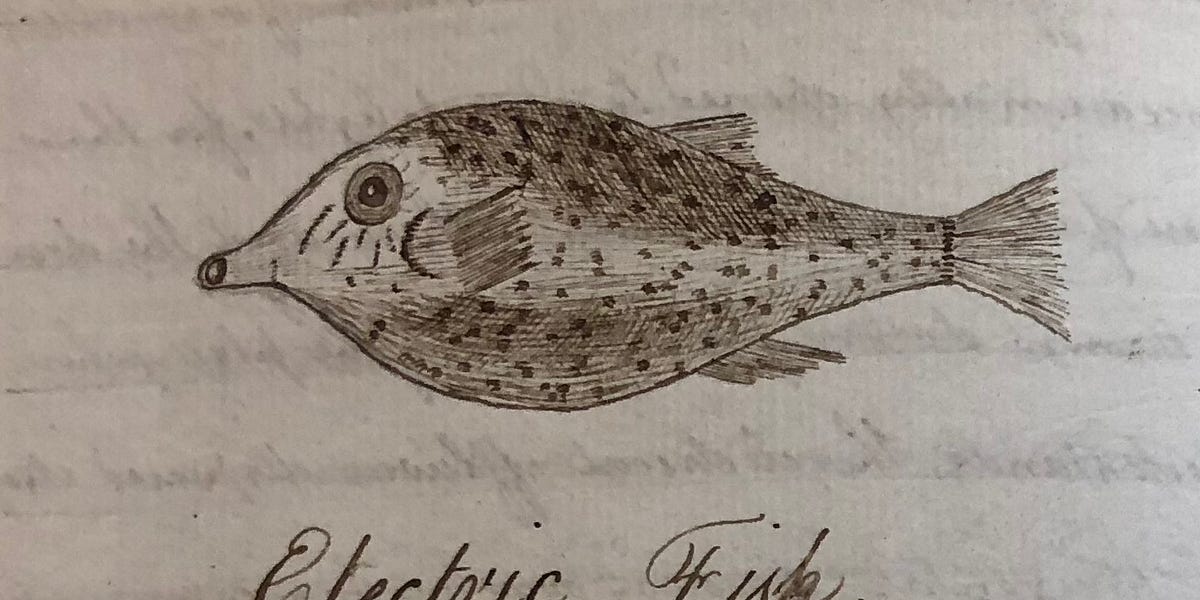 The notebooks that launched Michael Faraday's scientific career