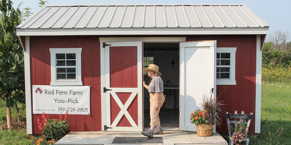 Writing the Land - Mary Swander’s Buggy Land