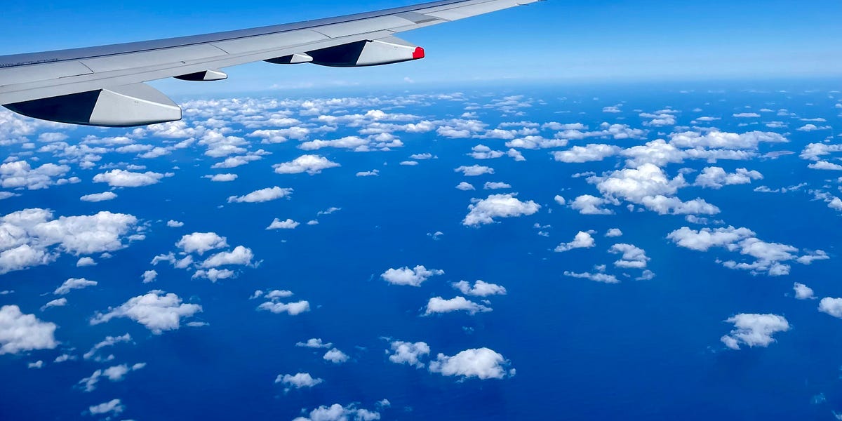 Notes From Seat 28F - life: examined