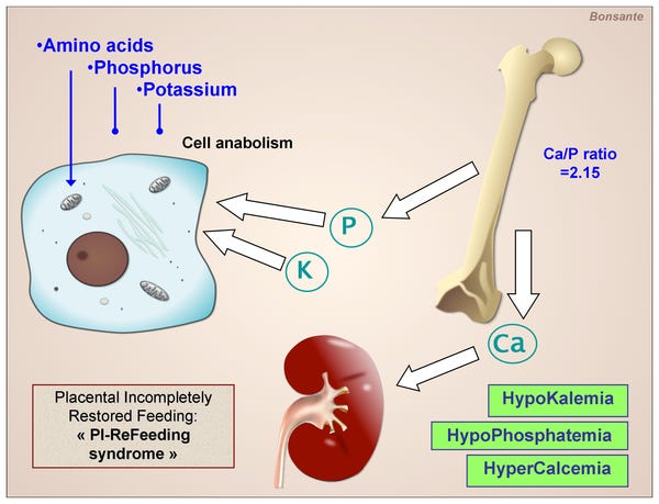 Re-feeding after a 3+ day fast: An Example/Guide