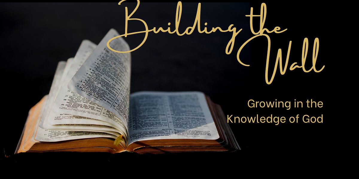 Building the Wall - by Sara Maynard - Come Aside