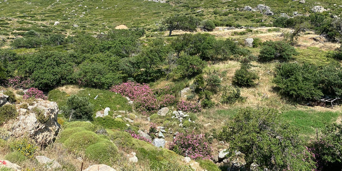 The Stones of Rome I: A Geological Map of Empire