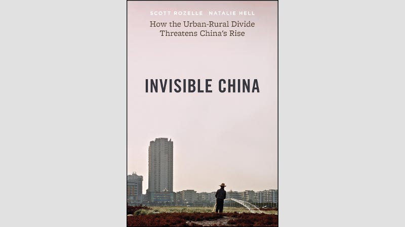 BOOK REVIEW: Invisible China: How the Urban-Rural Divide Threatens ...
