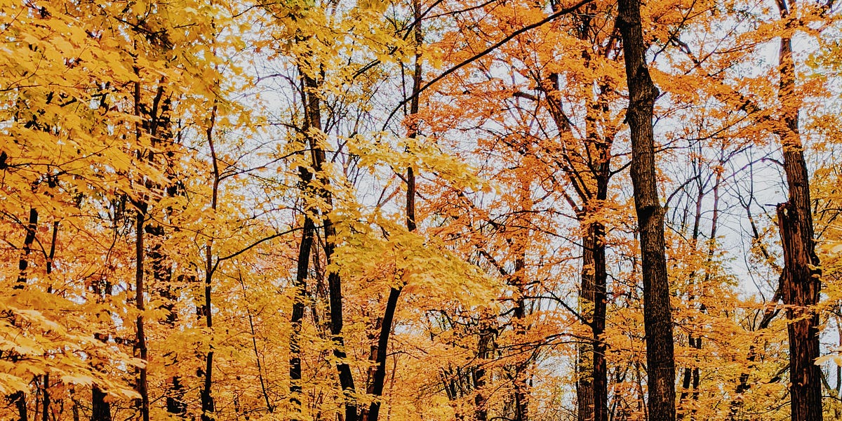 Core marketing principles to drive exponential growth