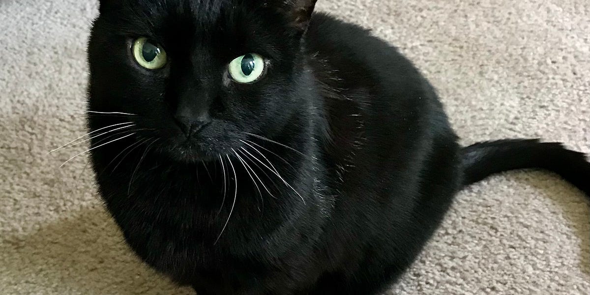 promises kept - by Wren Walker Jung - the wren diaries