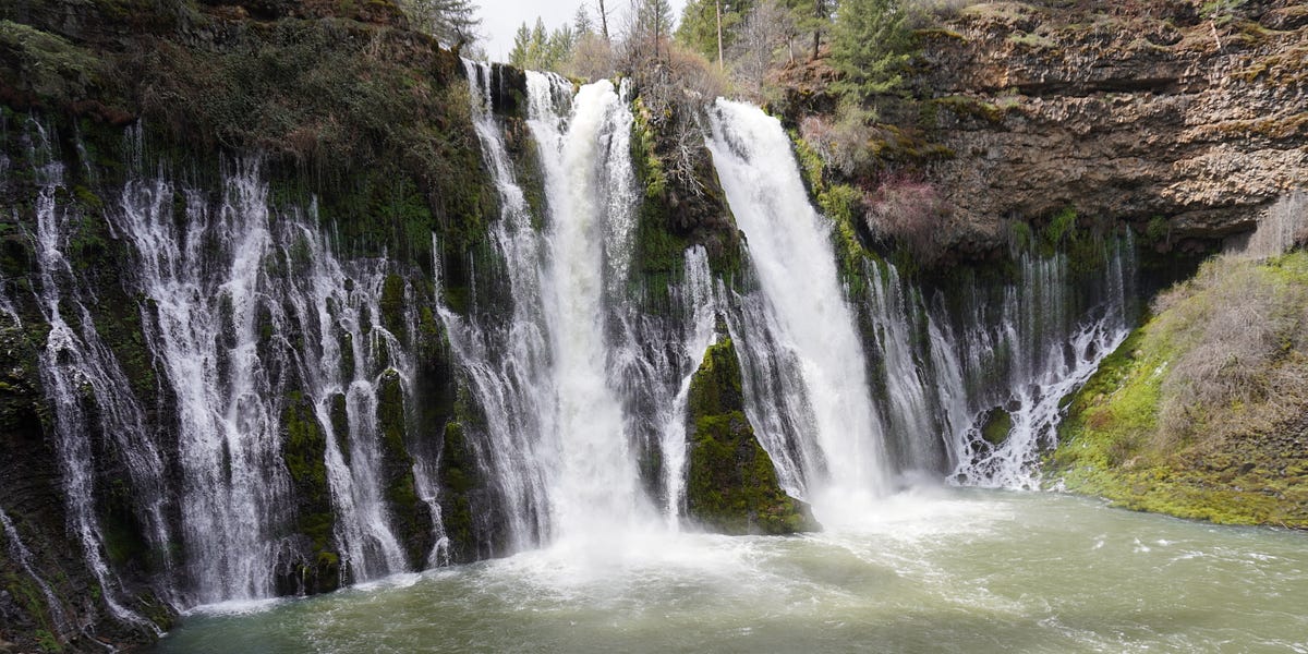 Mind Diet - by Cody Golbad - Keys Open Doors