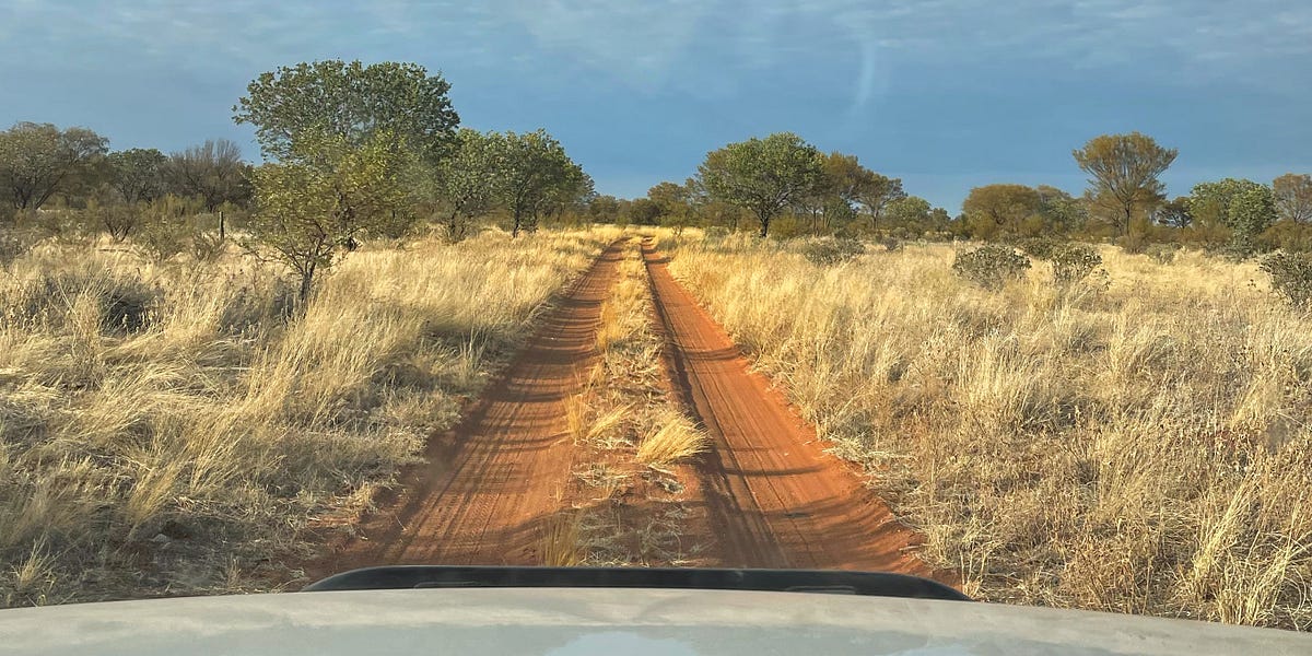 Tea coloured water - by Maggie Mackellar - The Sit Spot
